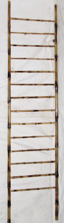 Tall Skinny Bamboo Ladders Wholesale – Radiant Imports